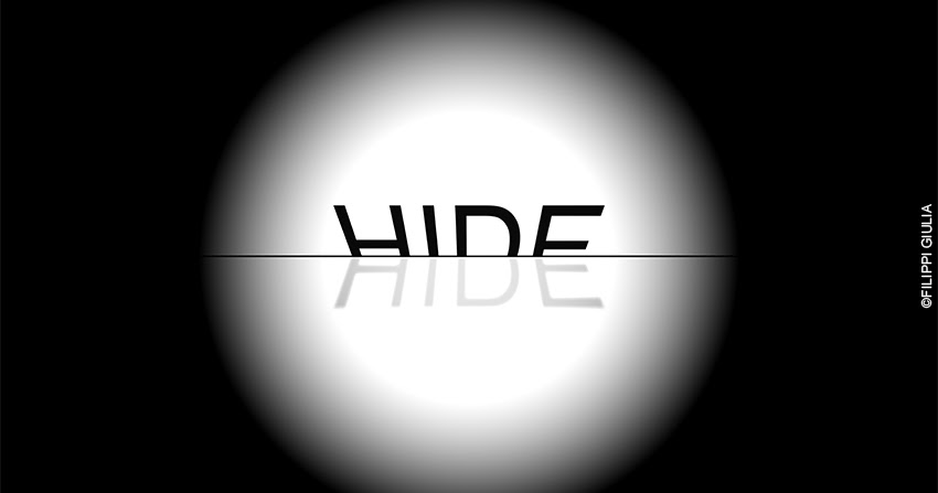 Hide