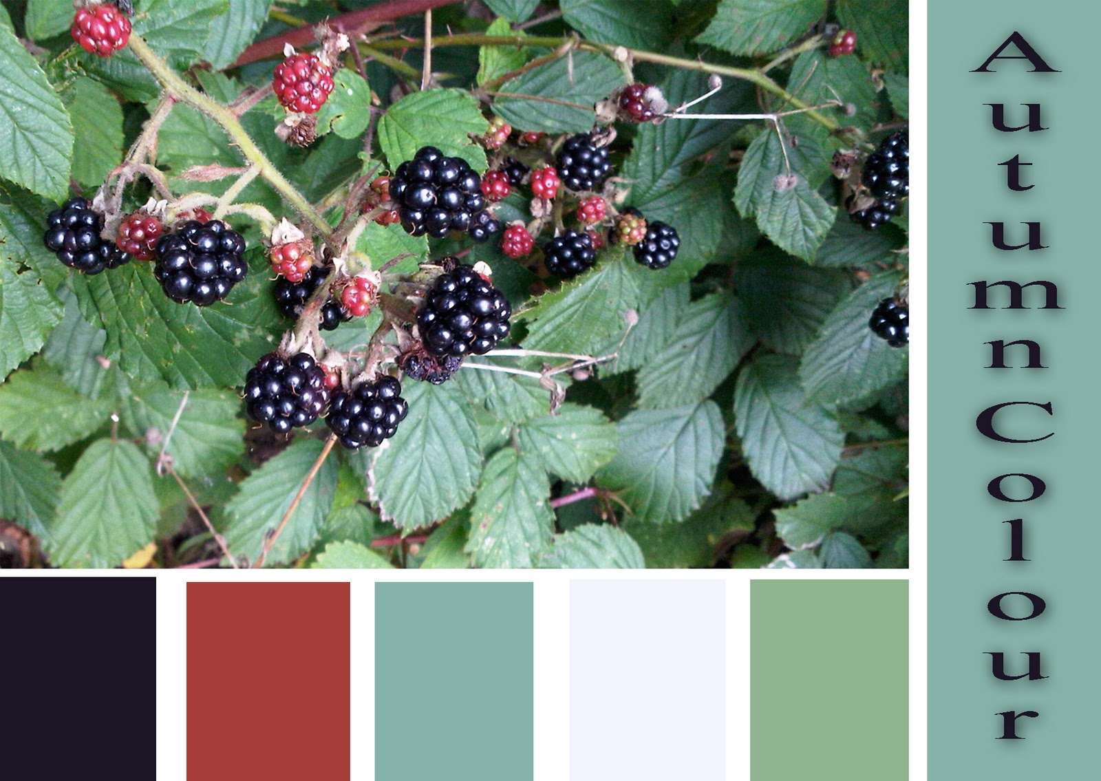 Willington Weaver: November Colour Palette