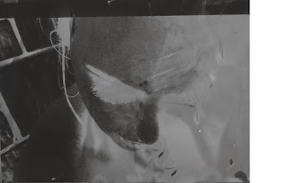 My Photography Work: Solarisation - Man Ray Shoot