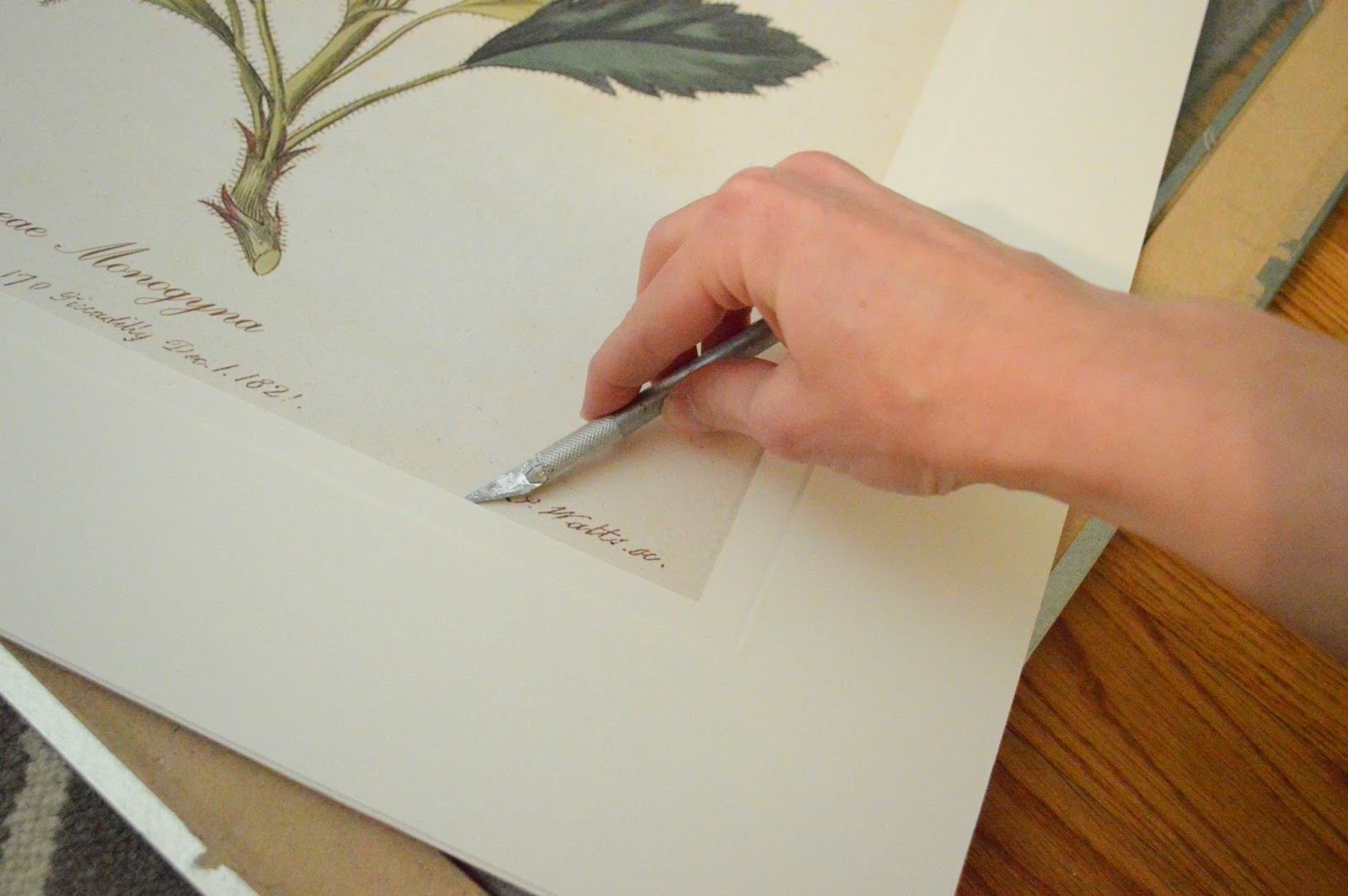 Sylvan Park Life: Creating DIY Art from Fancy Paper