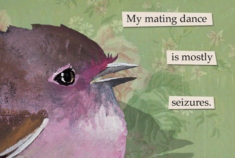 Oh, by the way...: THE MINCING MOCKINGBIRD GUIDE TO TROUBLED BIRDS by ...