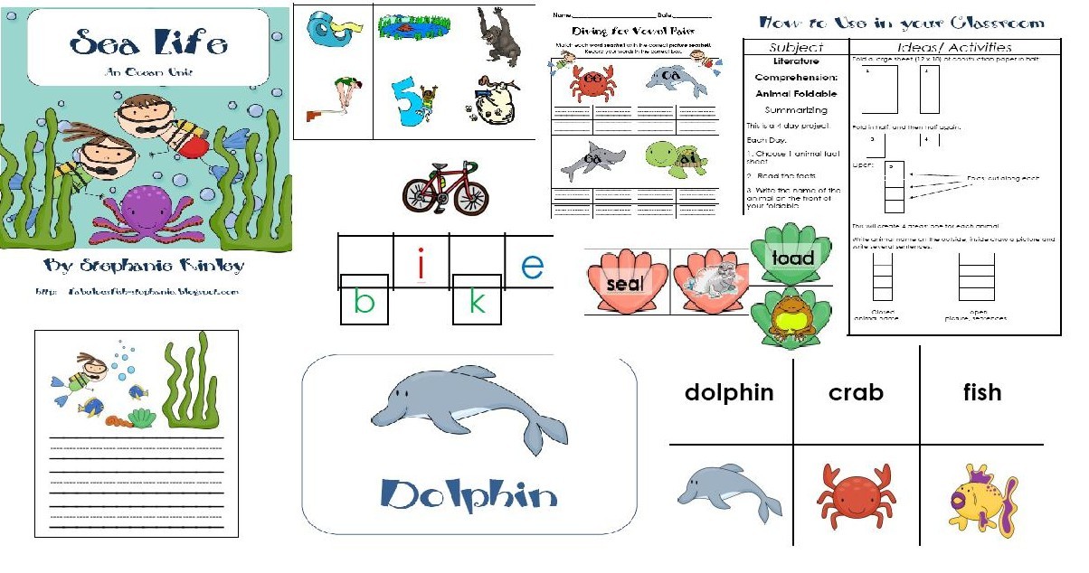 First Grade Fabulous Fish: Sea Life Unit -- TPT -- Free Giveaway