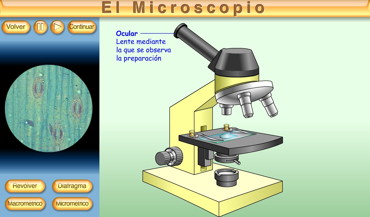 Blog de Biología-Geología, CMC y CTMA: Microspcopio virtual