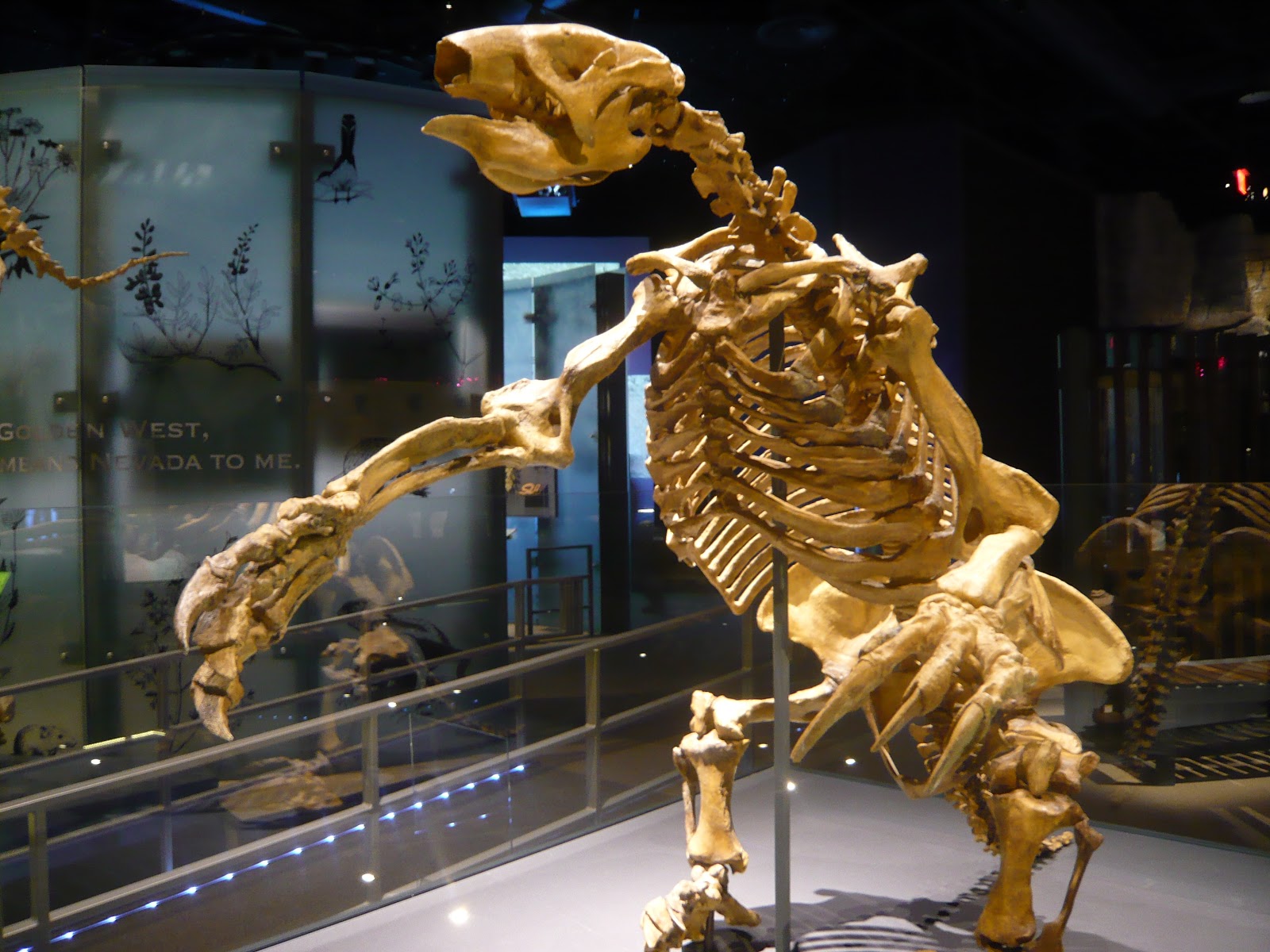 Kumtuks Tahlkie: Fossil Vertebrate of the Month: Nothrotheriops