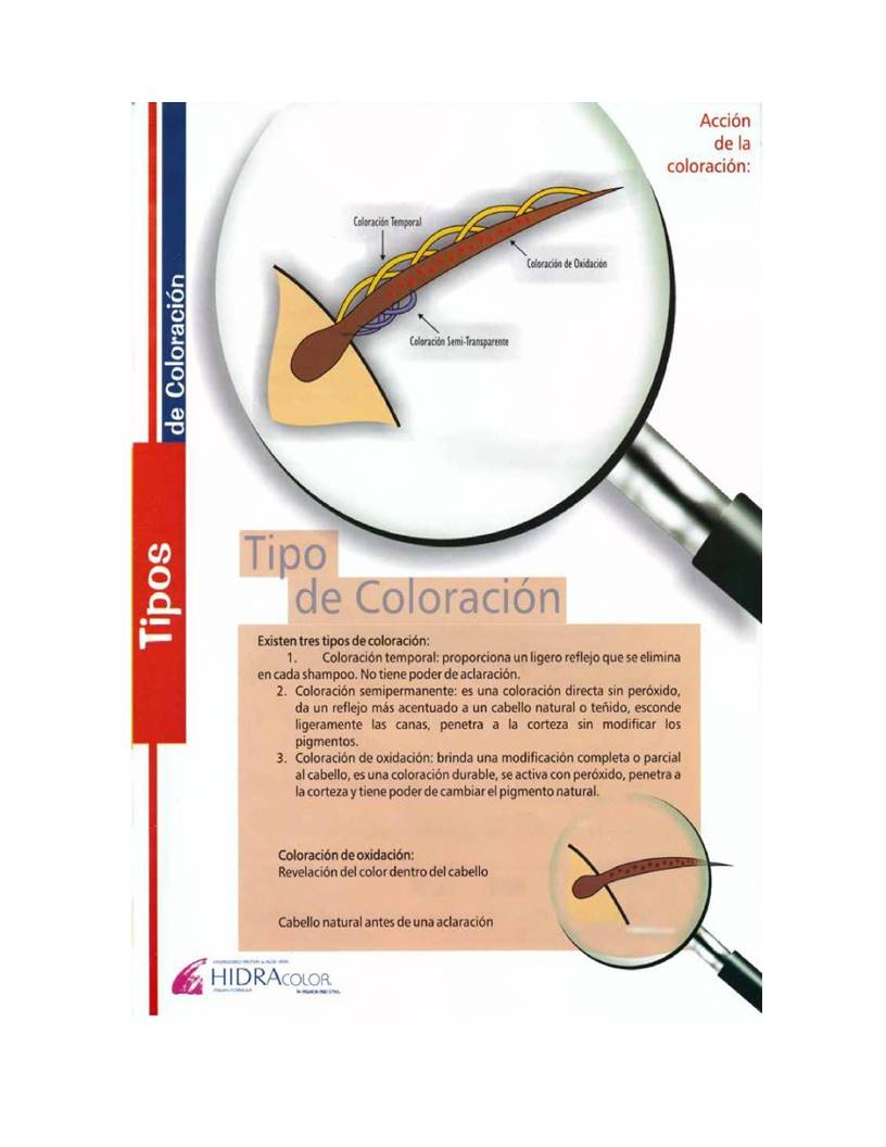HIDRA COLOR - REGLAS PARA COLORAR CON ÉXITO