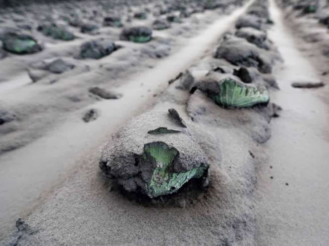 Pengaruh Material Letusan Gunung Berapi Bagi Lingkungan Hidup | el_mlipaki