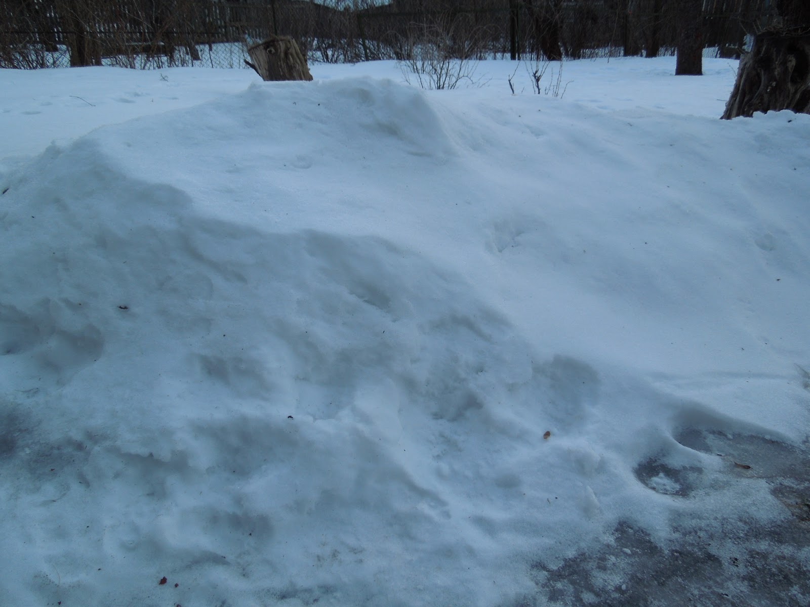 Algas kevad | JWG V A KLASSI AJAVEEB