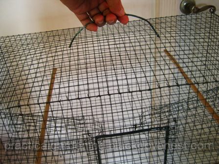 Practical Gardening: Homemade Bird Trap - Painting the Cage