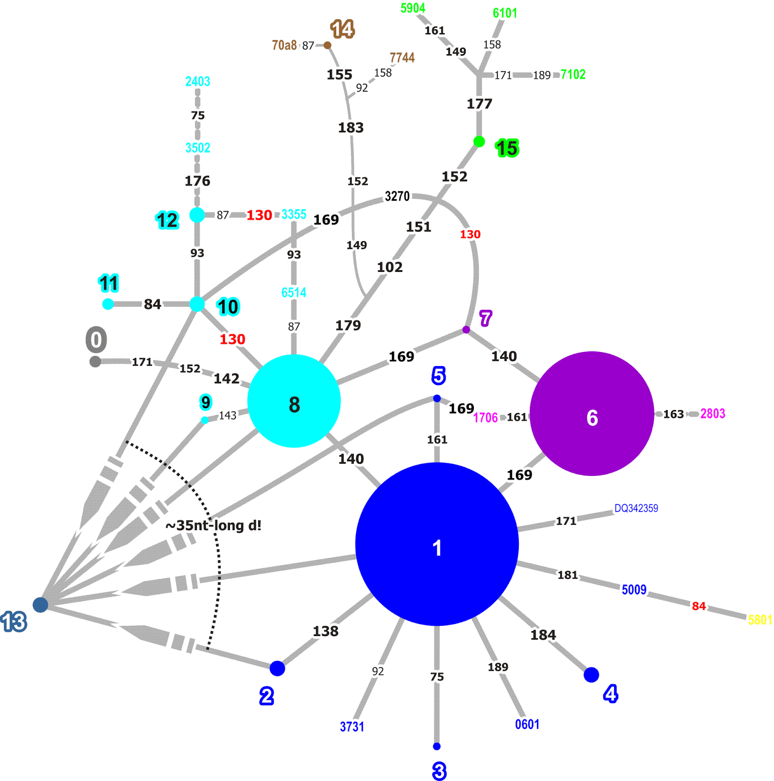 The Genealogical World of Phylogenetic Networks: Using median networks ...
