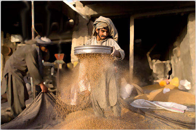 Dr. Andrew Corbett: For The Love of Peter