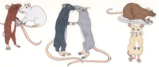 I.N.K.: Illustrating Bats and Rats -- and Bat and Rat