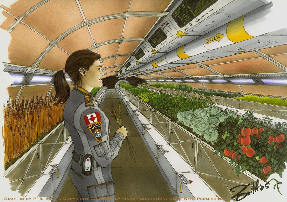 human Mars: Mars Homestead Project