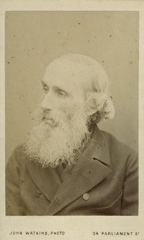 The Macabre Observer: The Nemesis of Neglect