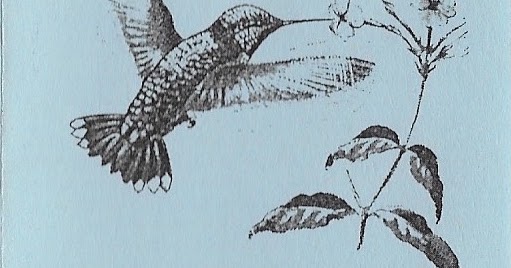 TERMINAL ESCAPE: HUMMINGBIRD OF DEATH