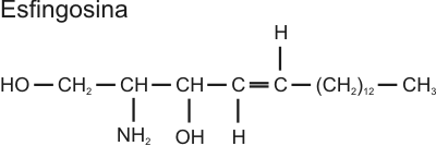 βιοχημεία: Clasificación de los Lípidos
