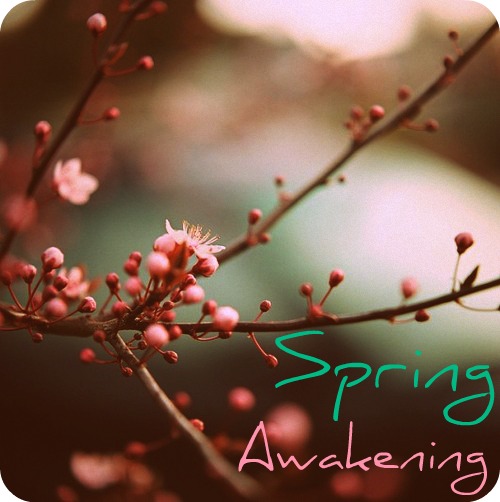 Elle Sees|| Beauty Blogger in Atlanta: Spring Awakening: How to Get ...
