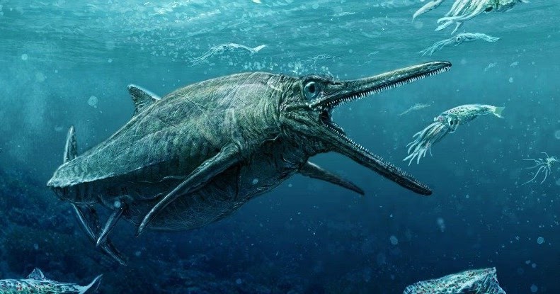 Jurassic 'sea monster' fossil emerges in Scotland - Geology In