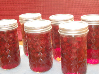 Rich Ideas: SEPTEMBER- Canning Raspberries and Drying Plums