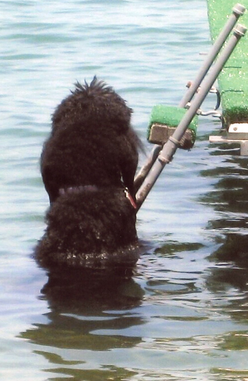 Green Garden Productions