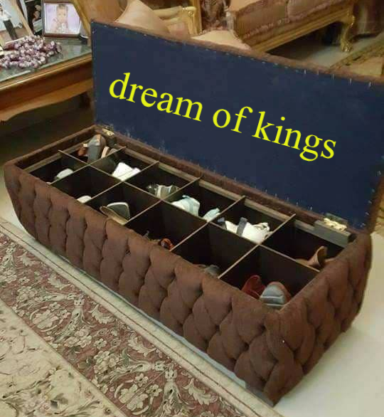 Dream of kings : bunket