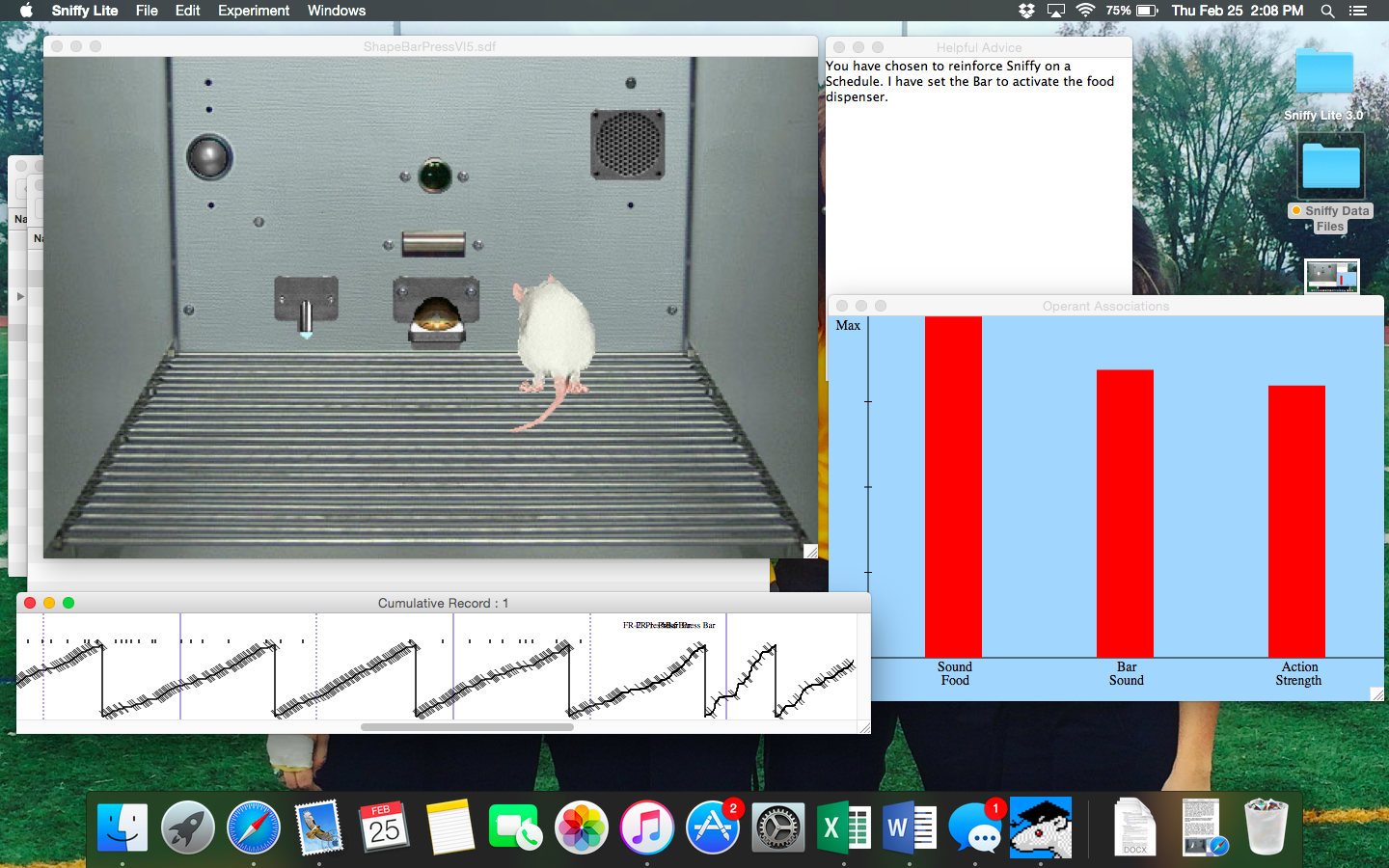 The Journey of Deanna and Penelope the Rat: Sniffy the Virtual Rat