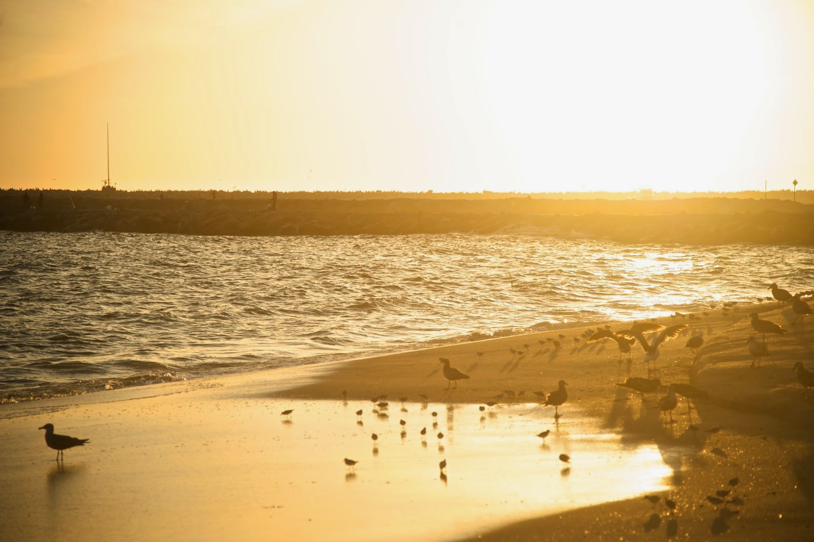 ANNe MARIe FOX PHOTOGRAPHY: NiNA MiLLiN - AcTReSS/CoMeDiAN - PLAyA DeL ...