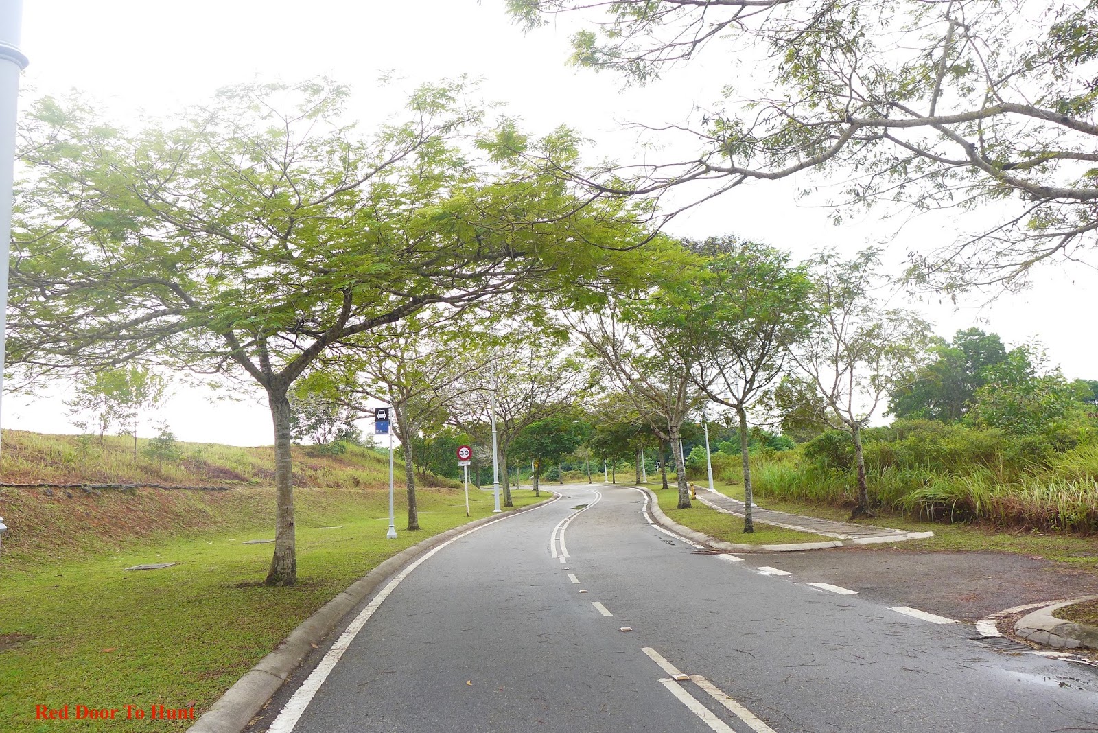 RED Door To Hunt: Ancaman Yang Diterima Oleh Burung Tukang Ekor-besar ...