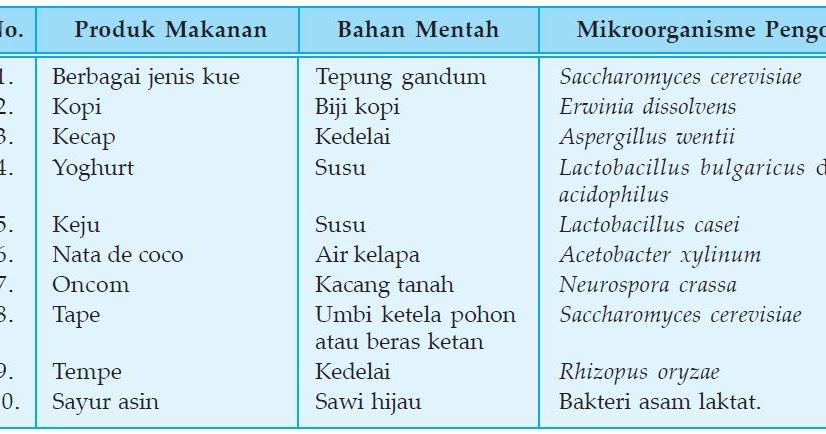 Contoh Produk Bioteknologi Dalam Bidang Pangan