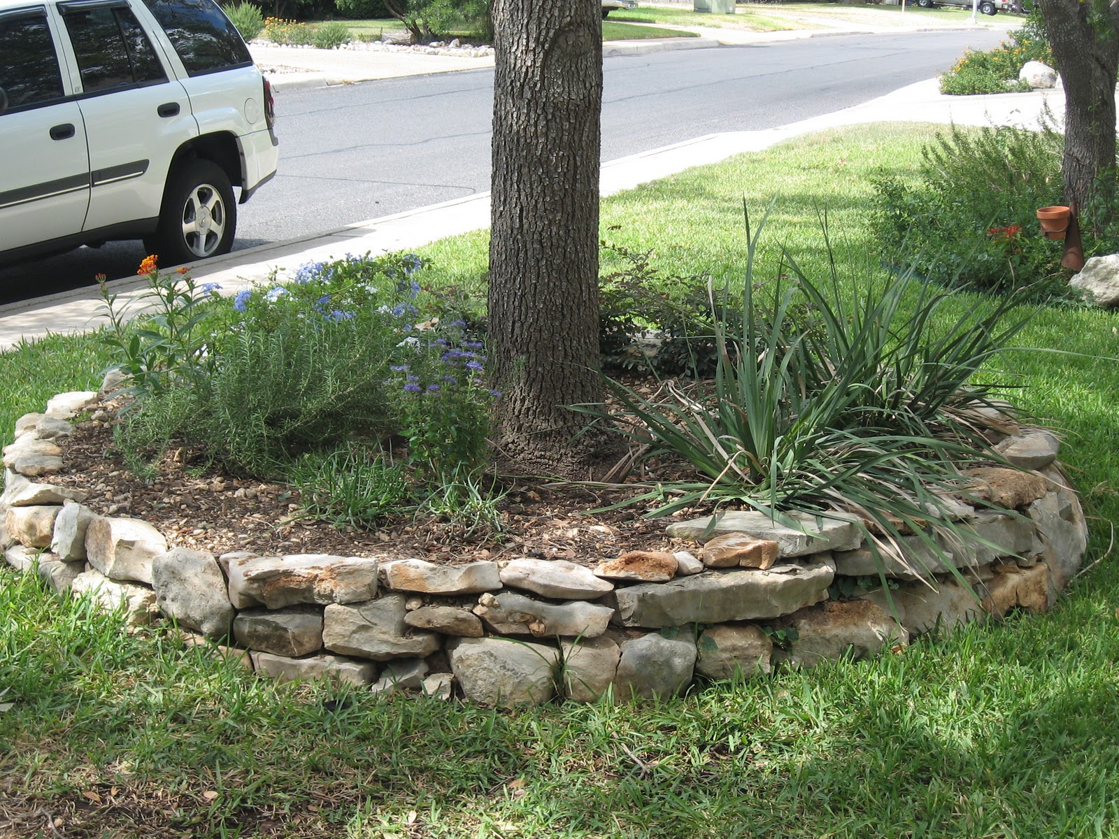 Encino Garden: Front Yard retaining wall and planting bed.