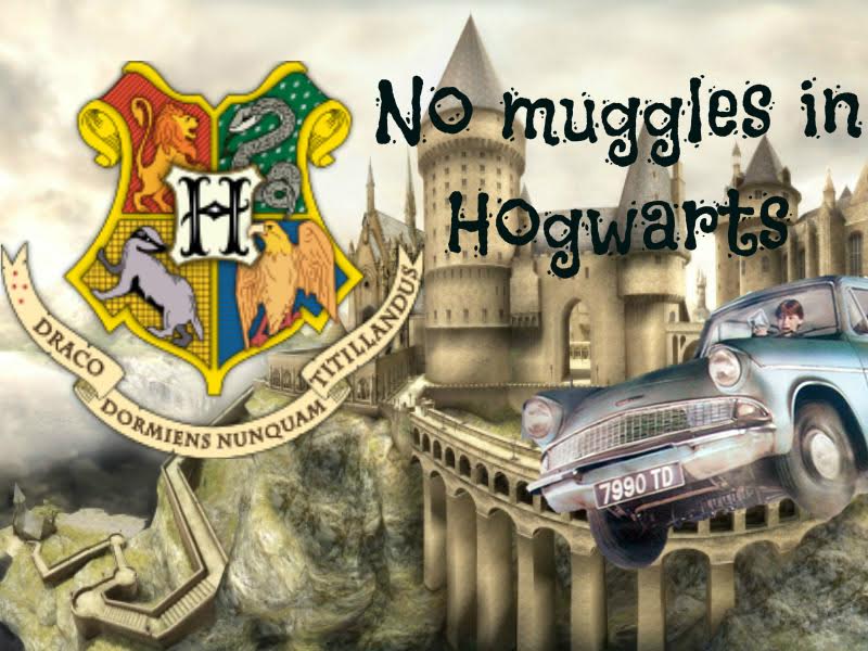 La chica que leía en cualquier lugar: Iniciativa: No Muggles in Hogwarts