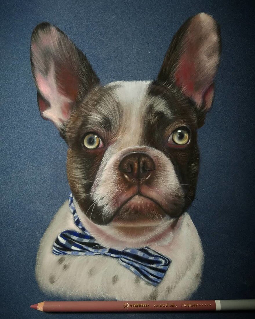 Design Stack: A Blog about Art, Design and Architecture: Animal Pencil ...