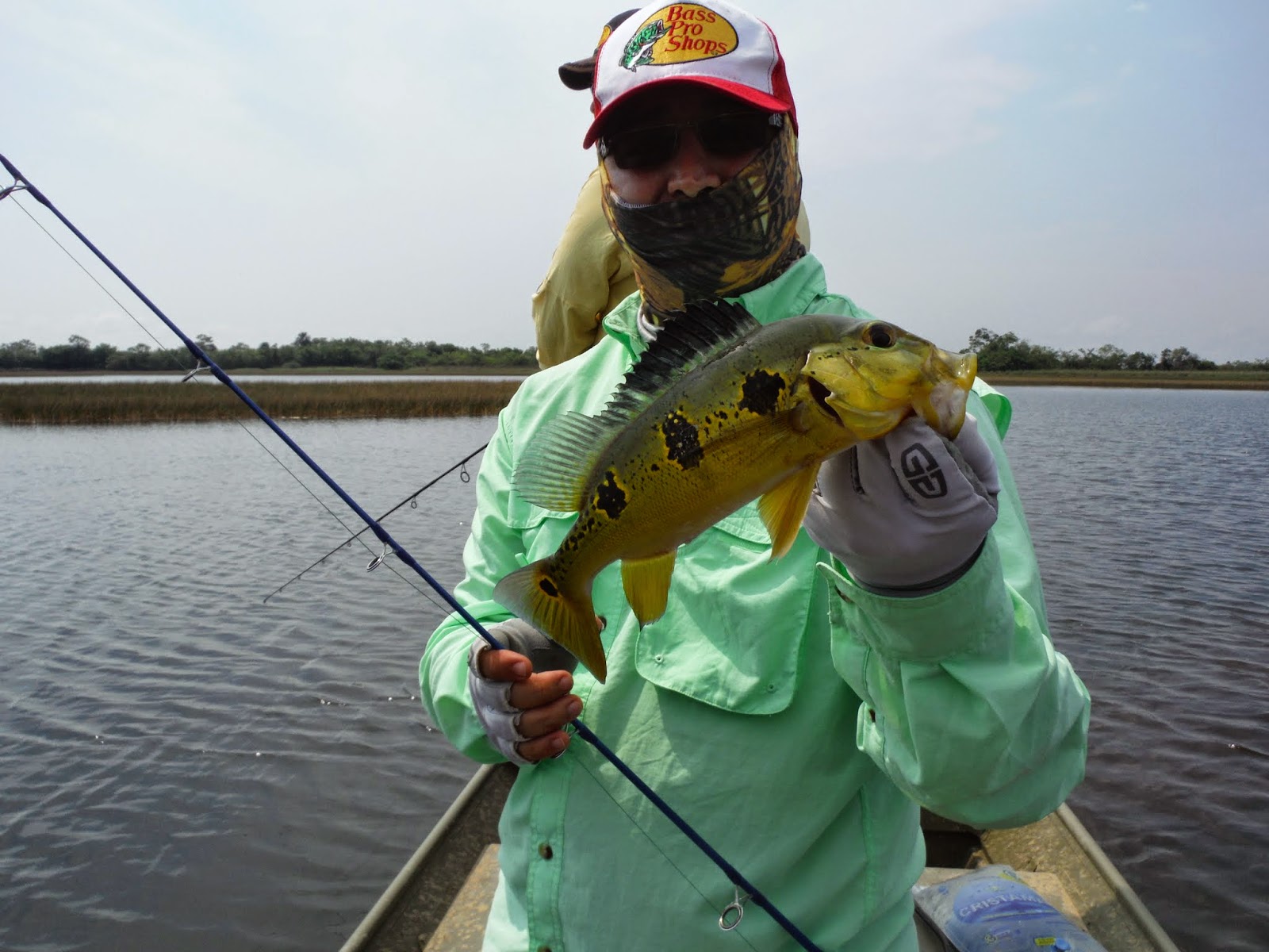 Espacio de Pesca: Pesca de Pavon o Tucunare en Laguna Rio Meta, Puerto ...