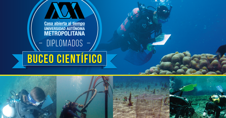 BUCEA EN HUATULCO: Diplomado Buceo Científico UAM - Iztapalapa, abril 2018