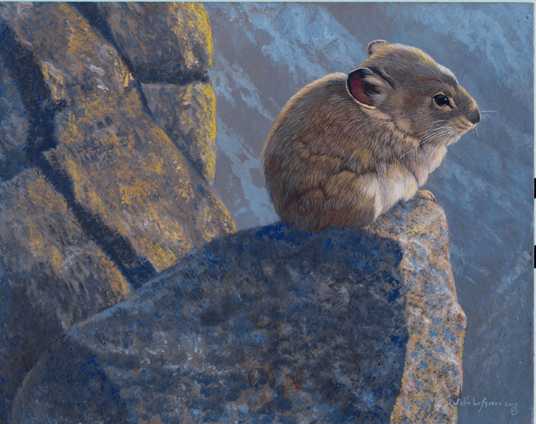 The Show and Tell Nature Blog: Pika n' Stuff