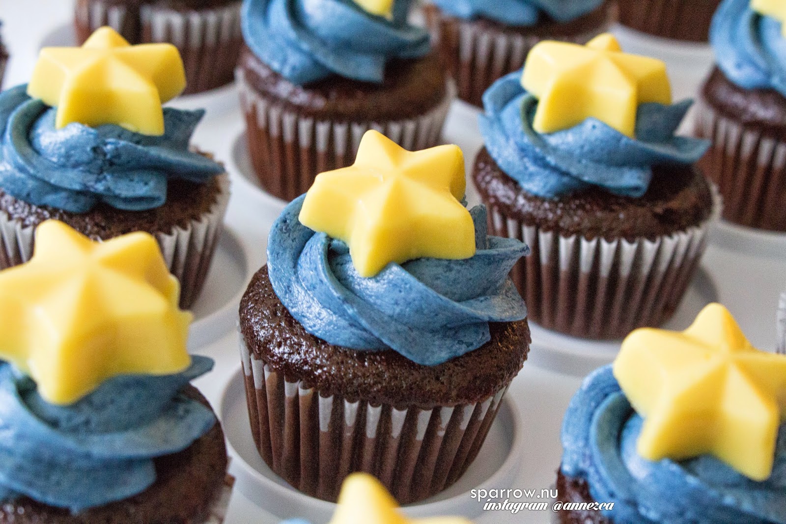 sparrow.nu: Celestial Chocolate Cupcakes