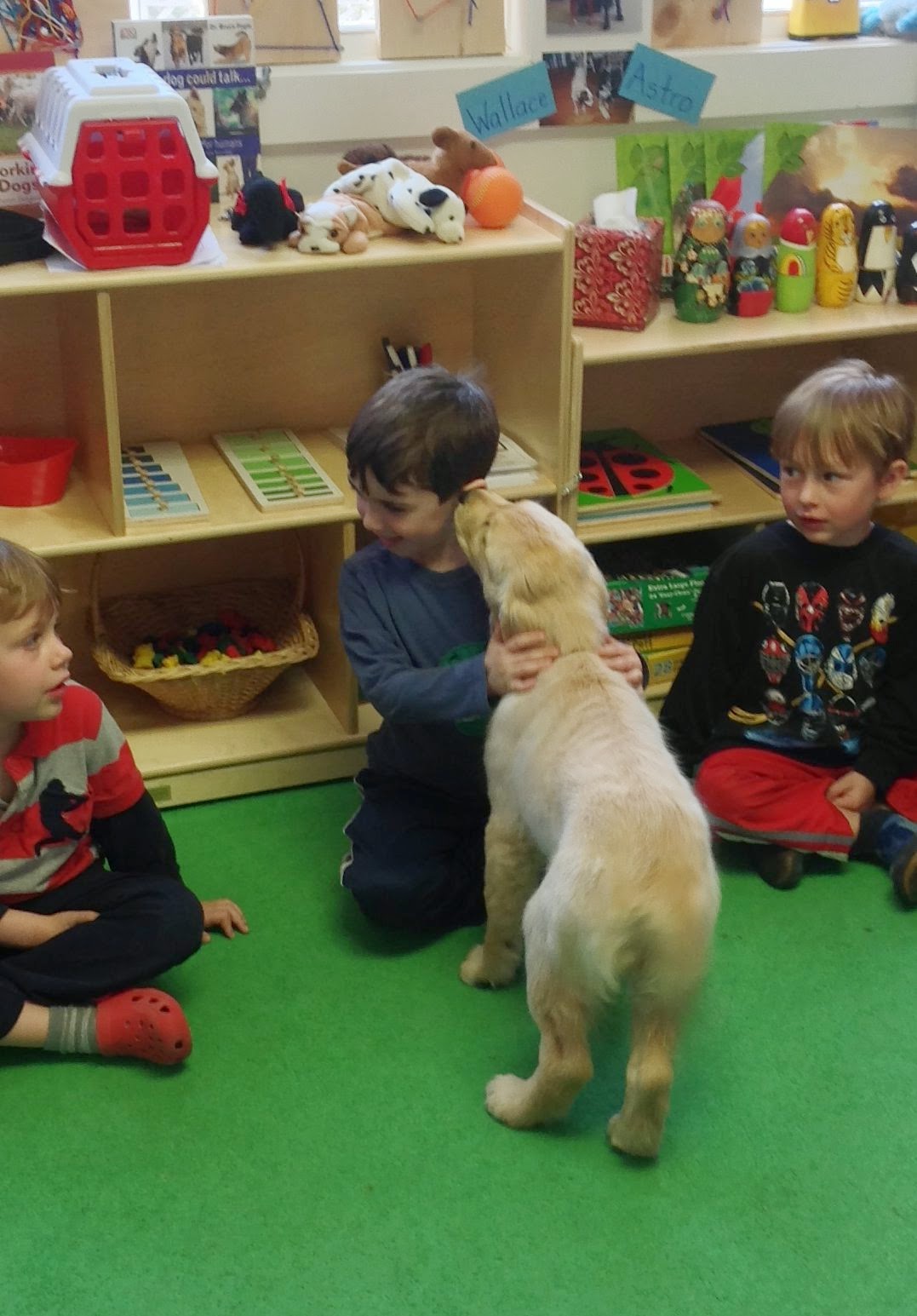 Playfully Learning: The Dog Project Phase 2...and 3