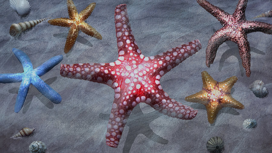 juan hernaz: Ilustraciones animadas para 'Nora' / Animated ...