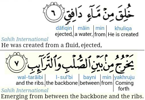 GRASP QURAN : Surah # 86 - At Tariq