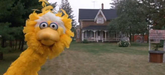 Sesame Street Follow That Bird Dodo