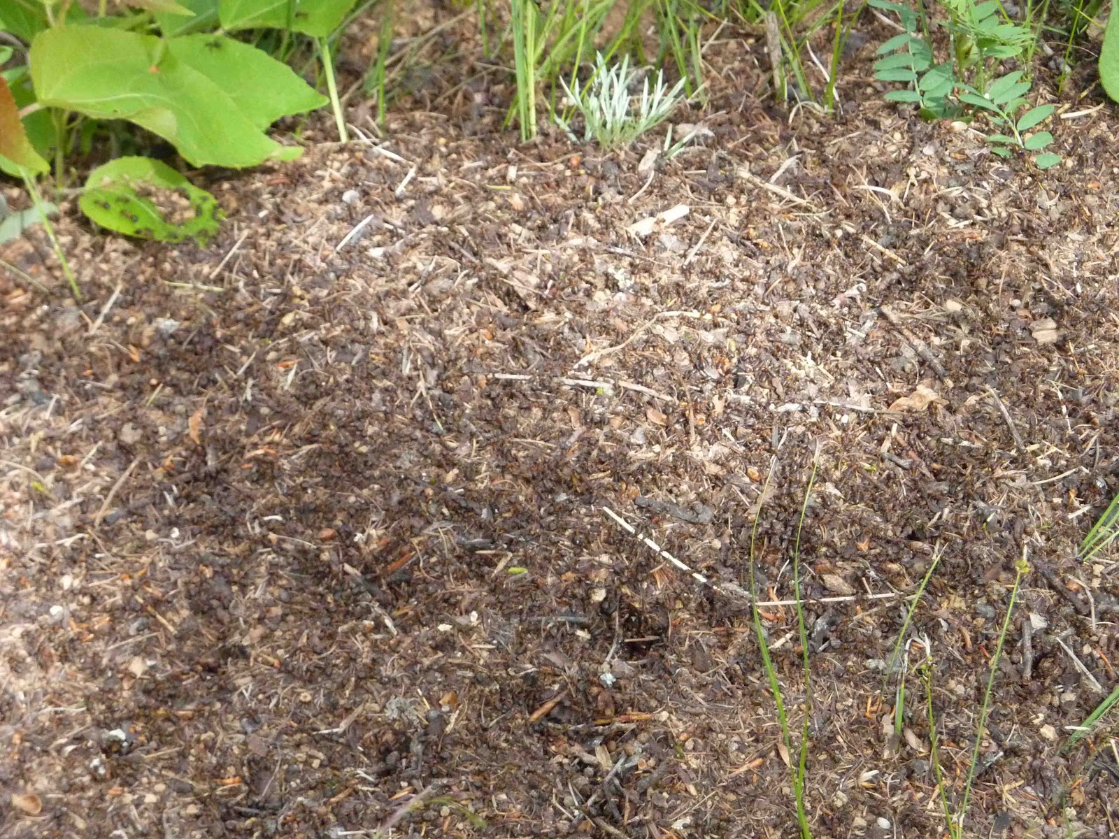Jim And Sarah Go On A Trip: The Motherland and Mongolia.