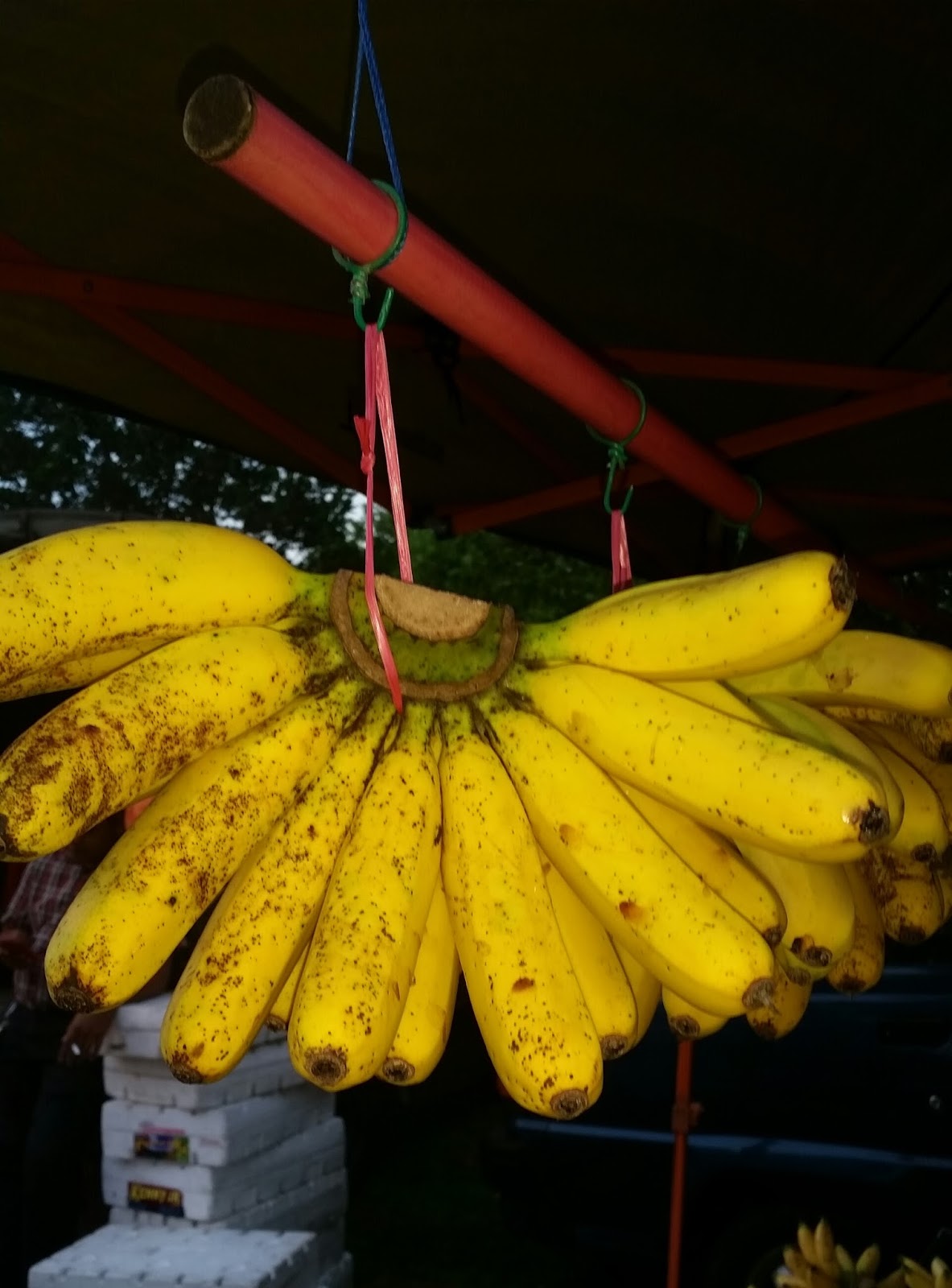 Warisan Petani: Tanaman Pisang 6 : Pokok Pisang Berangan