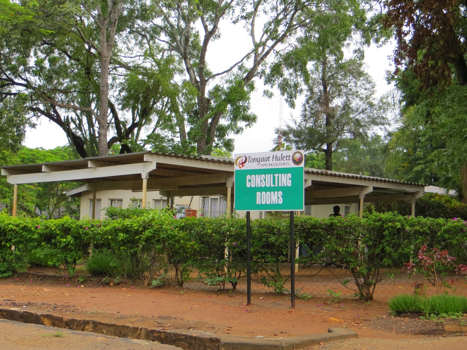 WOBBLS around Zimbabwe - A journey of rediscovery: Blog 5 Chipinge Chiredzi