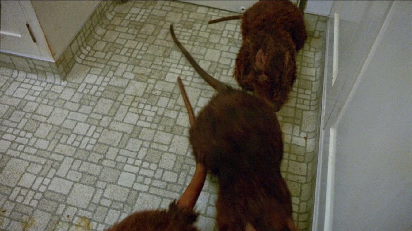 The Terrible Claw Reviews: HubrisWeen 2016, Day 4: Deadly Eyes (1983)