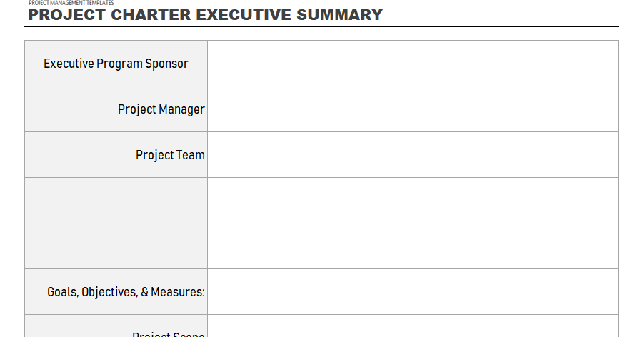Project Charter Executive Summary Template | Project Management ...