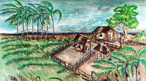 Environmental Insights & Reflection