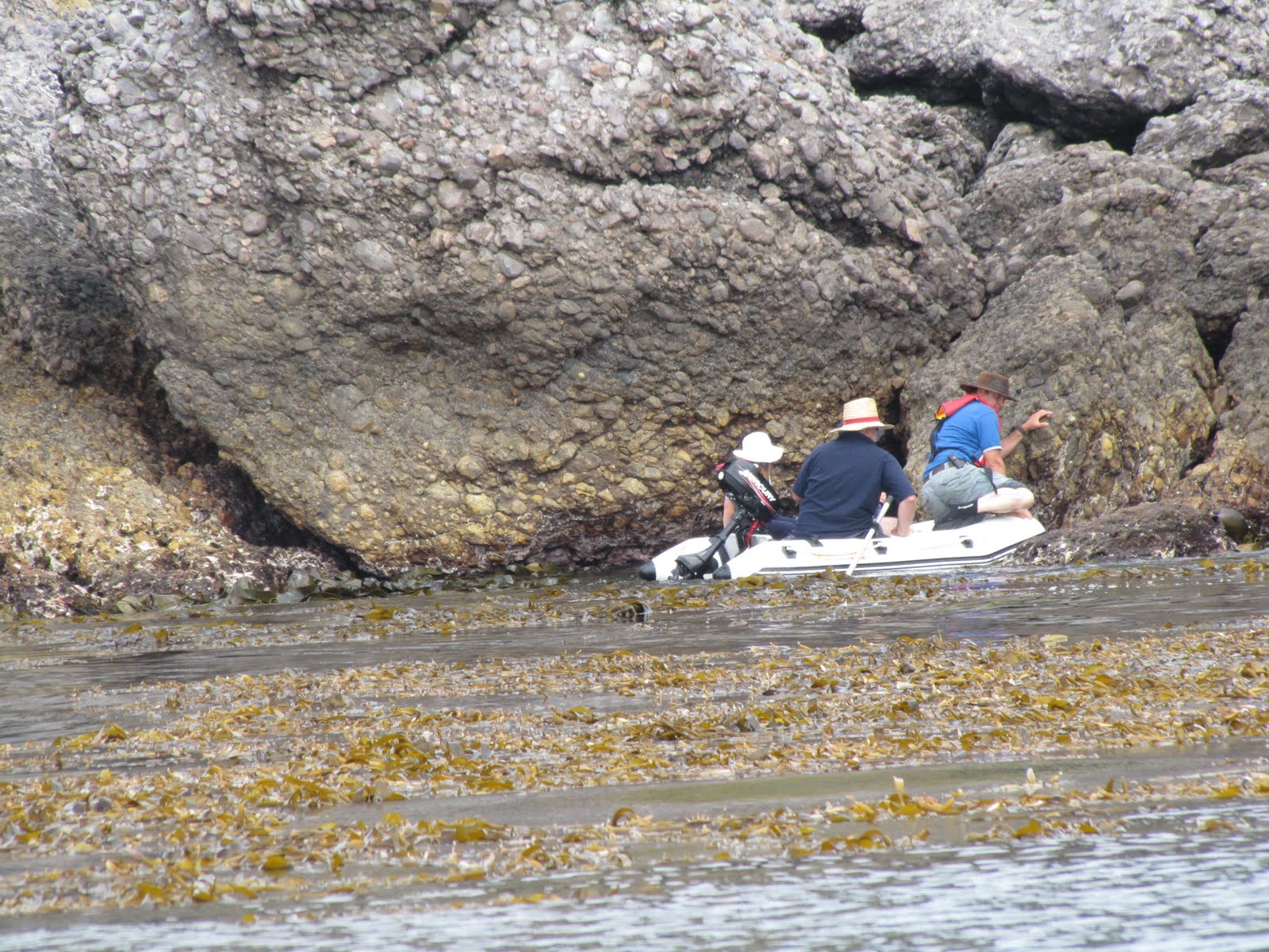 Escape to an Island: Trip to Albatross Island