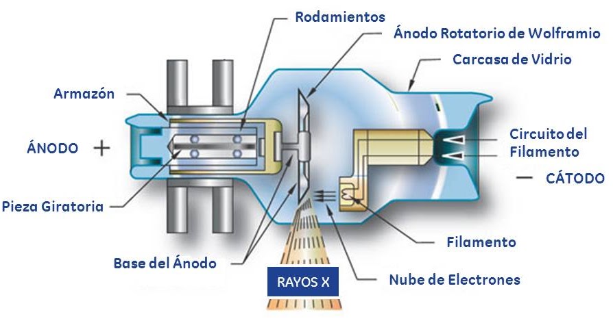 La Quimica : Estudios con los rayos X y la radioactividad