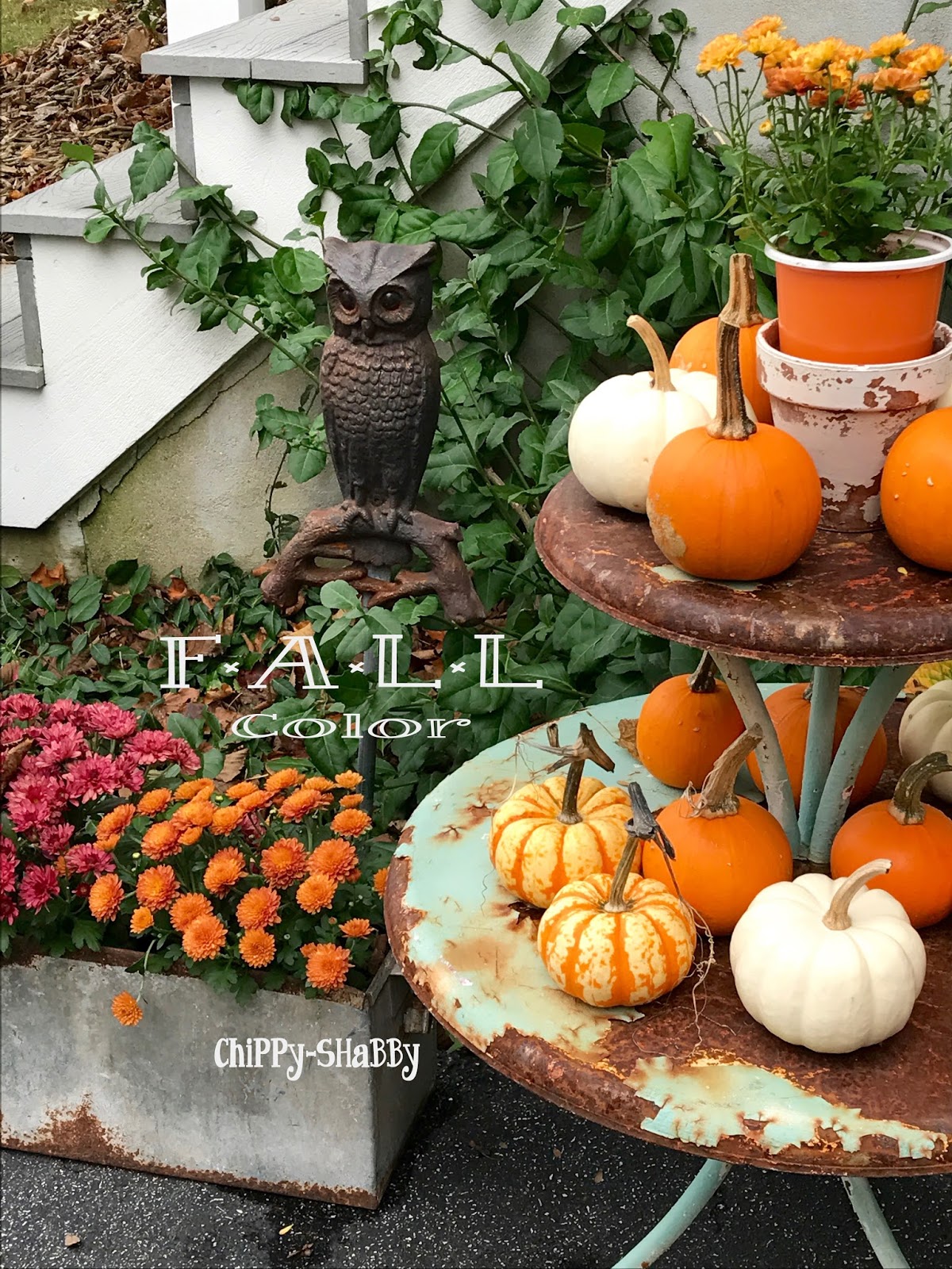 ChiPPy! - SHaBBy!: Seasonal FaLL Color Adorning ChiPPy-SHaBBy Finds...