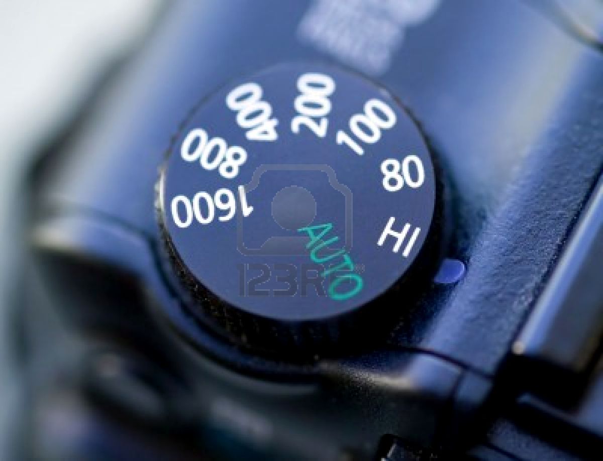 Photography for Dummies | Photography Tips: Basic Photography | What is ...