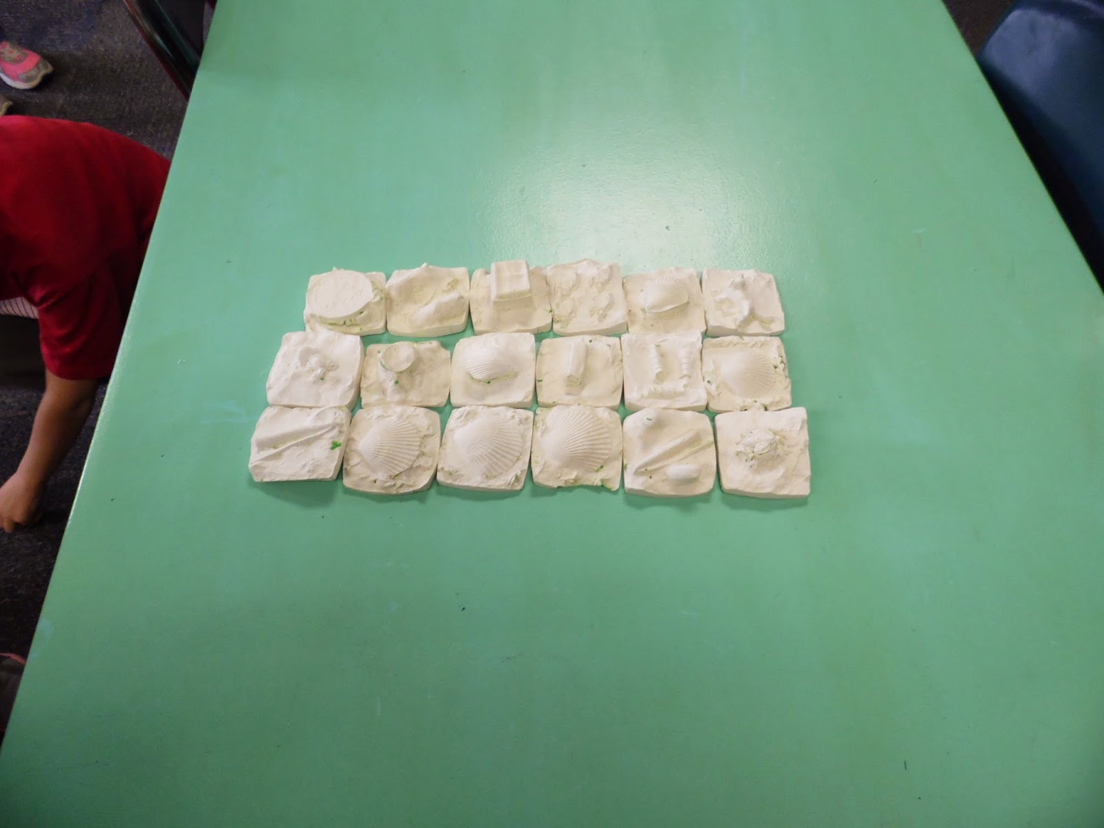 Loa Elementary School: 4th Grade Fossils - By Kassen Pace